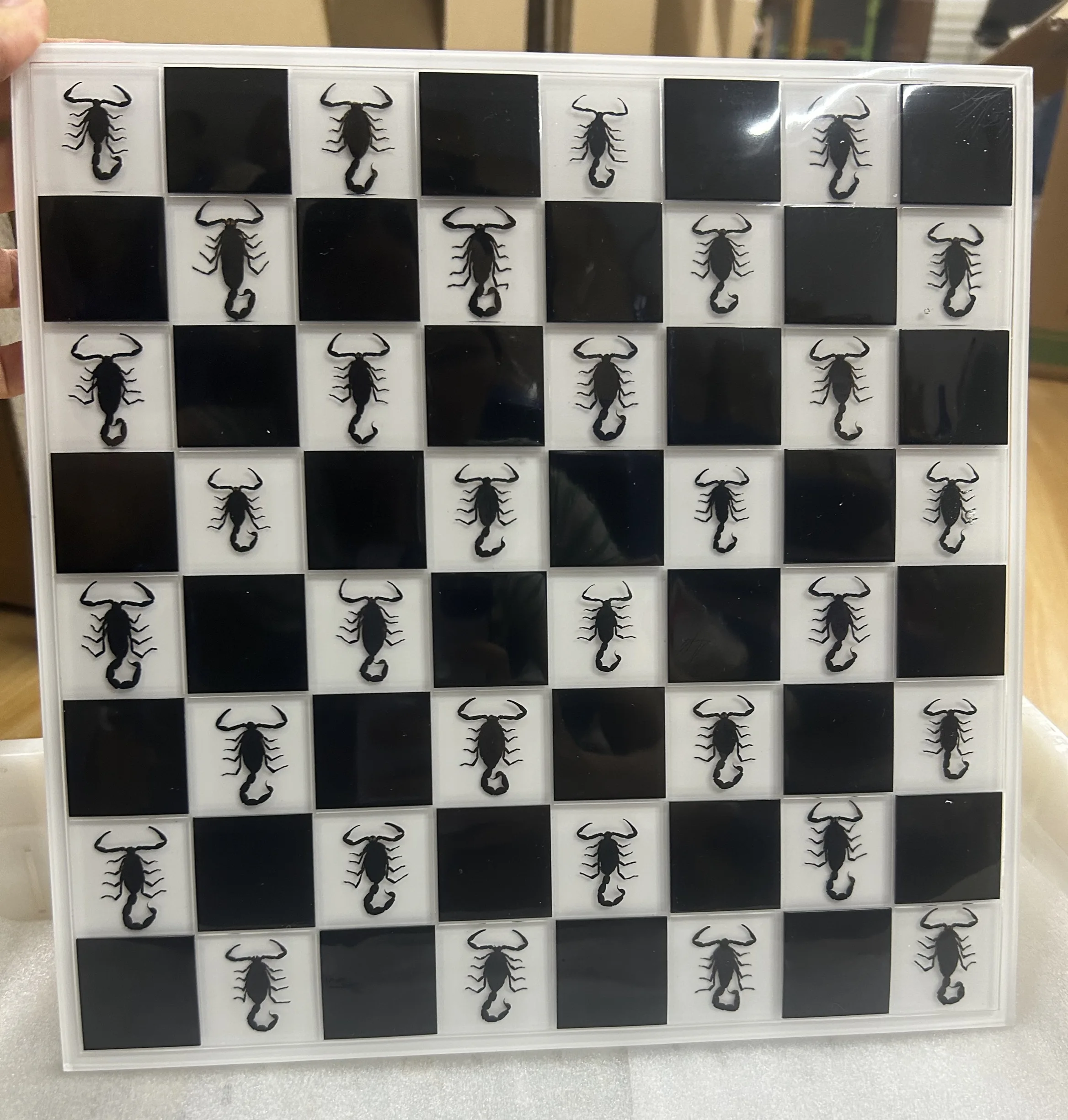 Most Popular Toys Educational Game Real Insect Embedded in Resin Chess ...