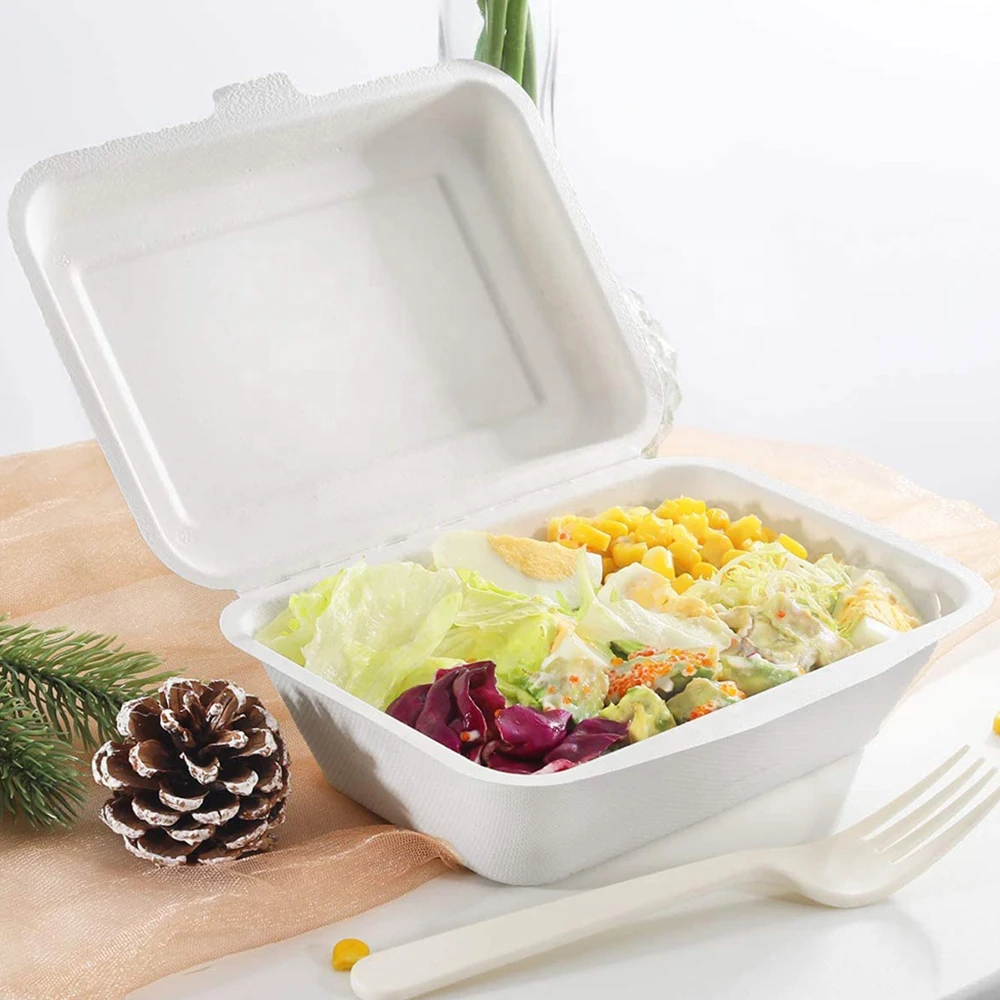 100% Biodegradable 600ml Sugarcane Clamshell Bagasse Food Container ...