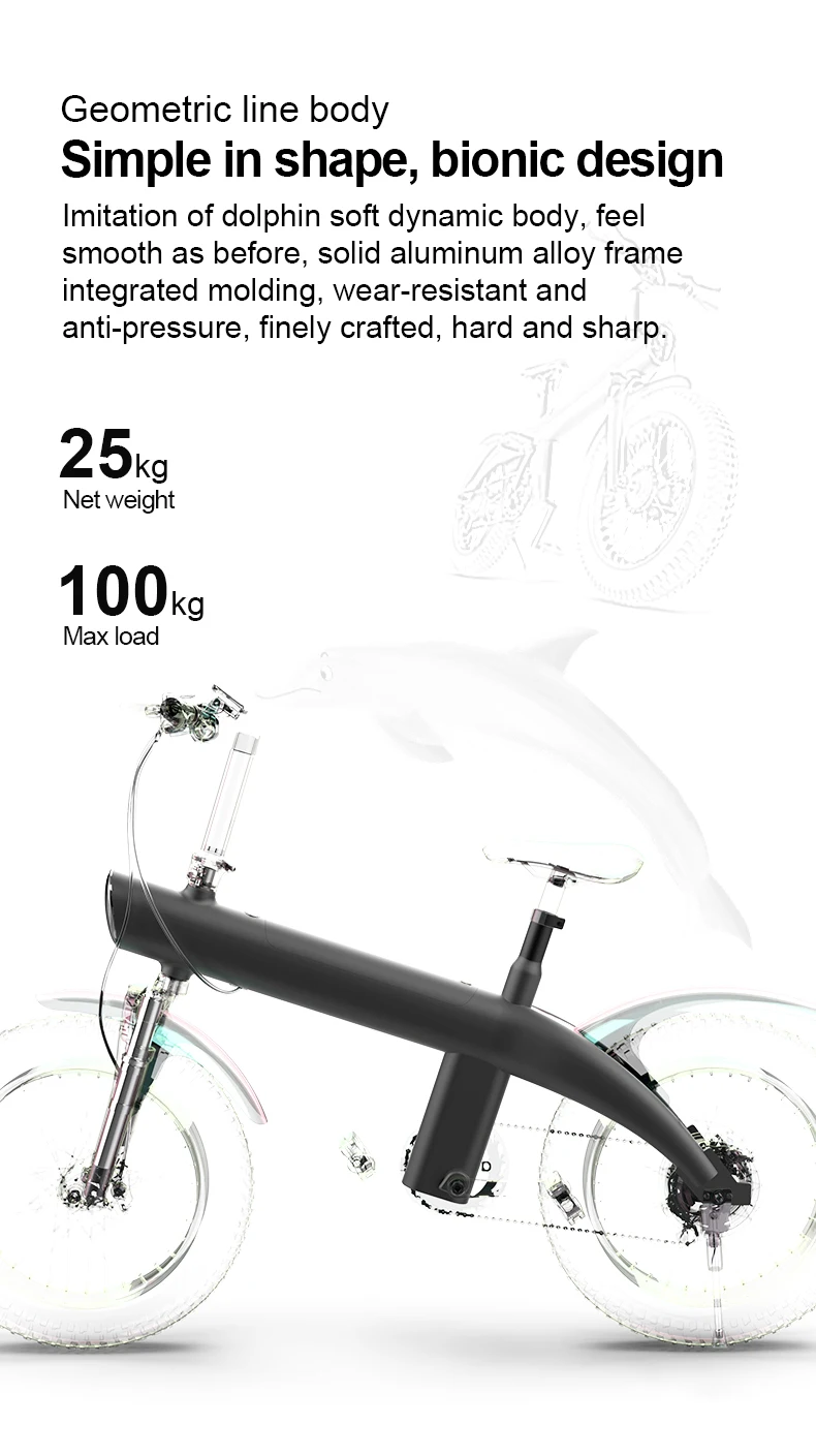 Q3 Electric Bike - 20 Inch Fat Tire off Road Ebike 750W