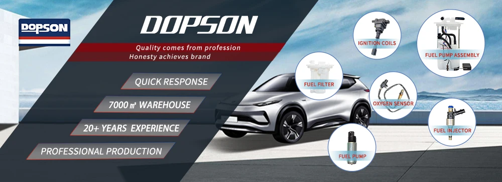 Dopson DPS6555 for electric cars Audi TTRS RS3 Quattro fuel pump module ...