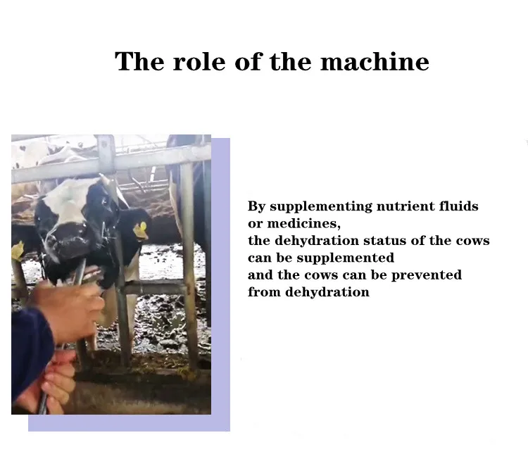 Cow Rehydration Device - Efficient Dosing Tools for Cattle