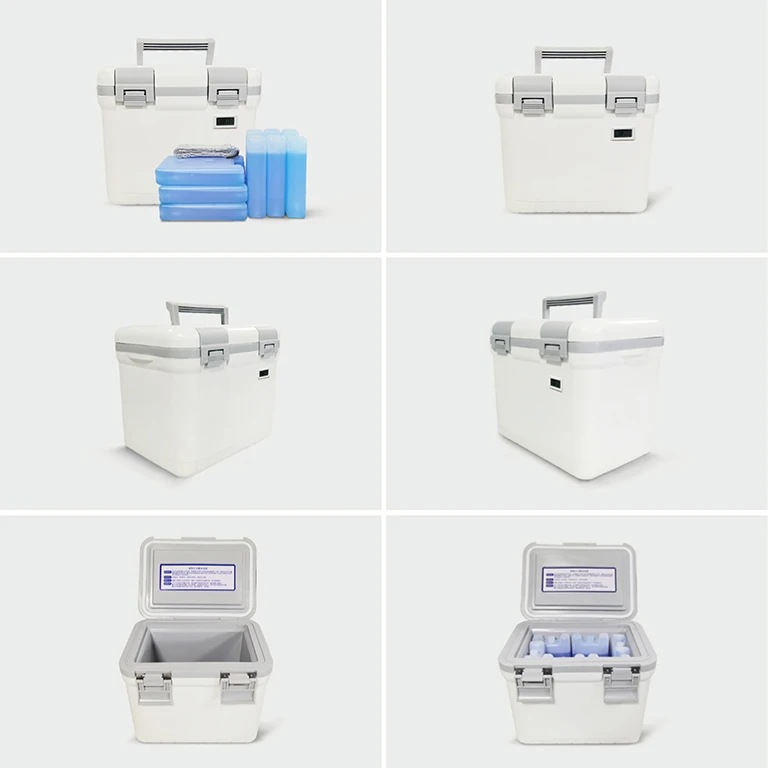 6L Medical Cold Box - Insulated Storage for Blood & Health