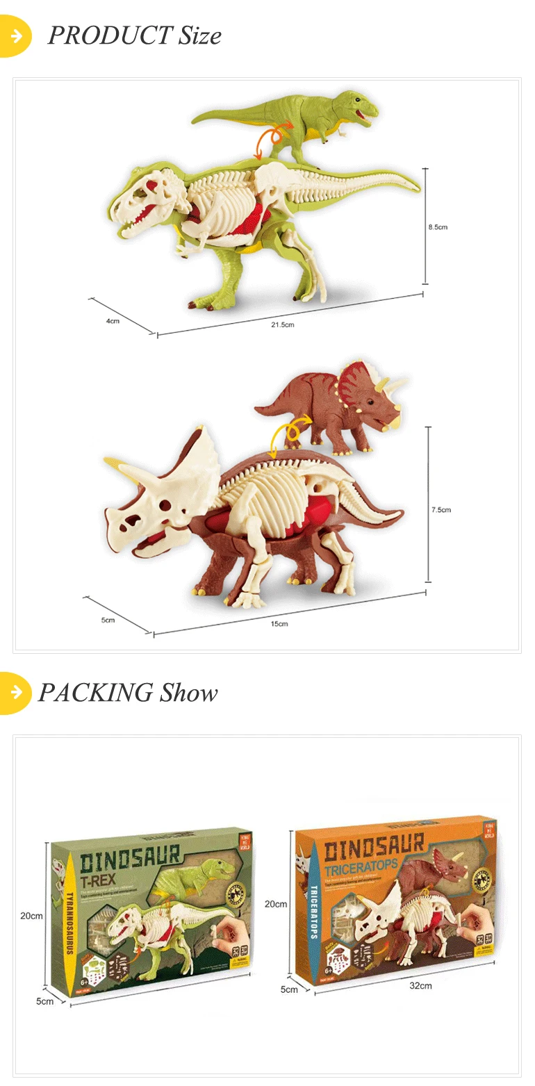 Anatomy Dinosaurs Models Blocks Bone Fossil Assembly Toys