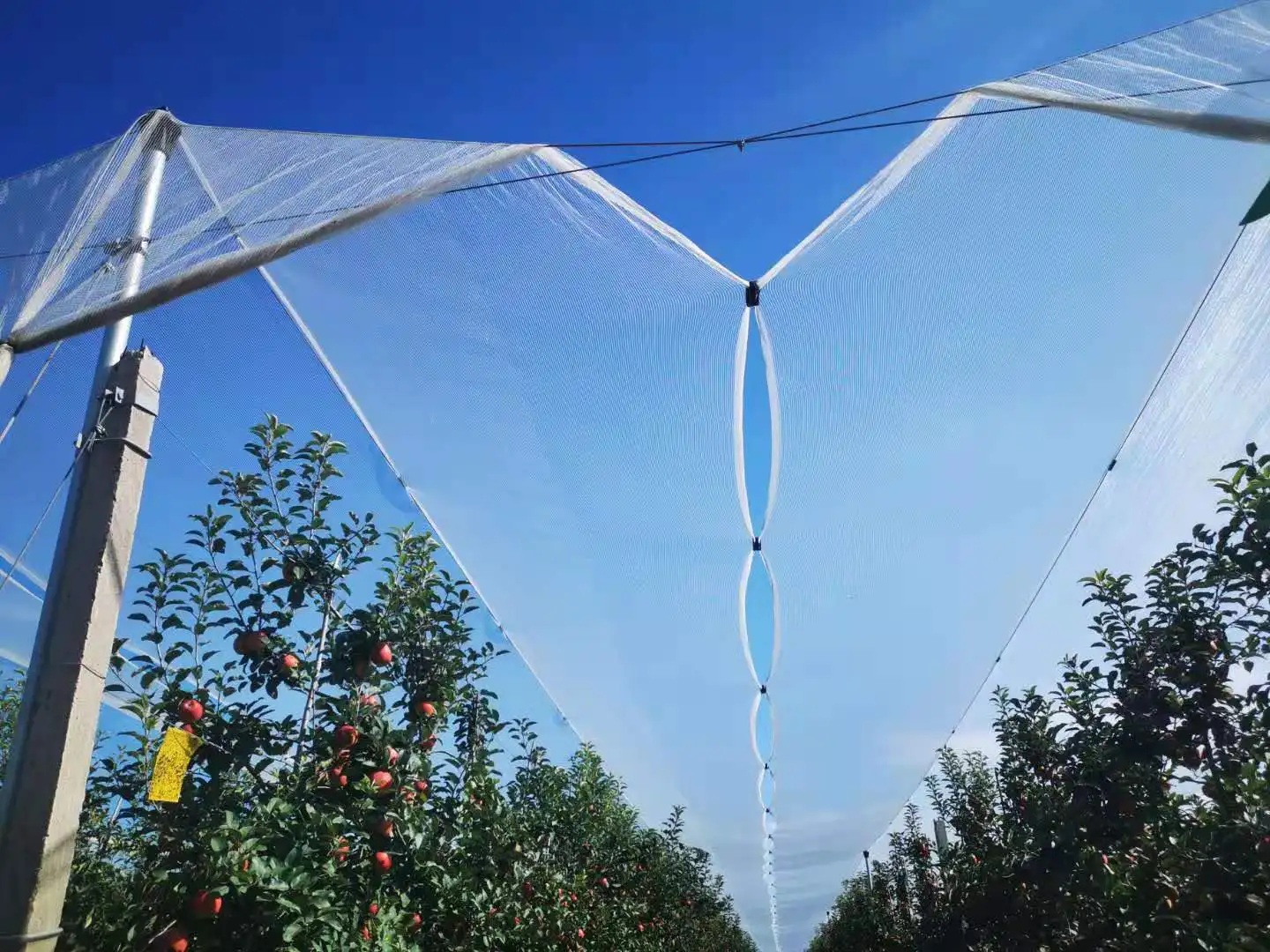 Agricultural HDPE Plastic Anti Hail Mesh Net Black Hail Proof Net Anti ...