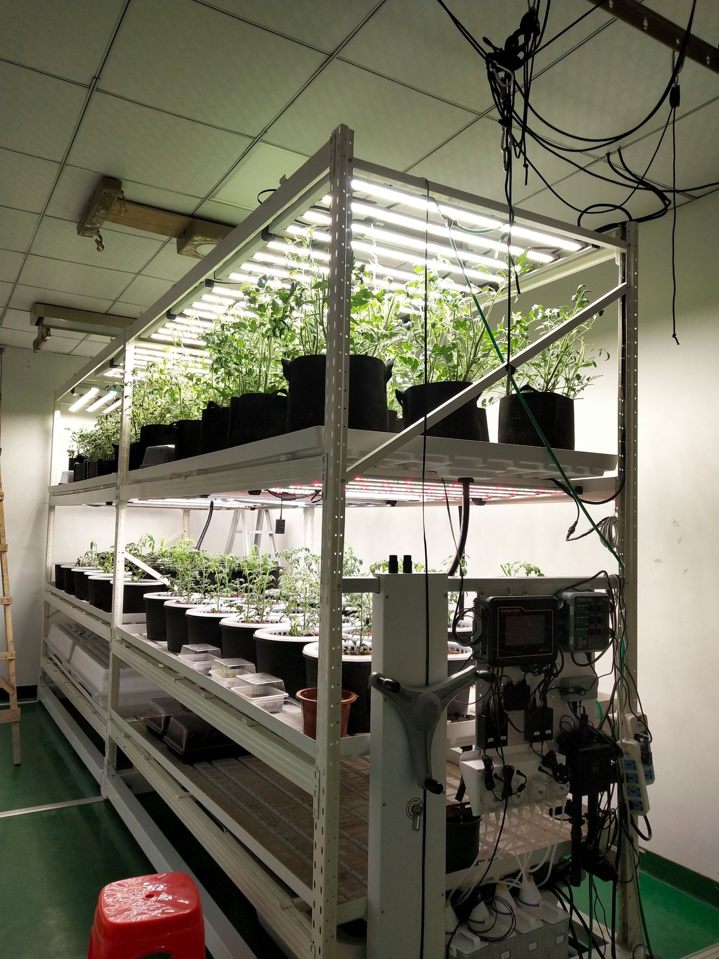 Multi Level Grow Rack System - Efficient Hydroponic Growth
