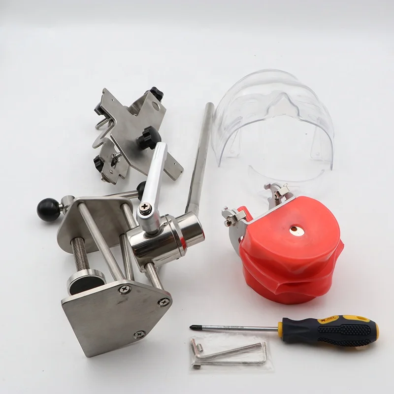 Dental Phantom Head Model For Teaching And Learning In Dental Classes ...