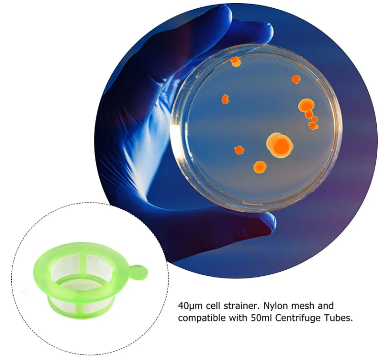 Nylon Filter Cell Strainers - 40um, 70um, 100um Mesh