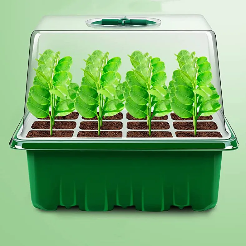 10 Pack 120 Cell Propagator Grow Thickening Seedling Growth Tray with ...
