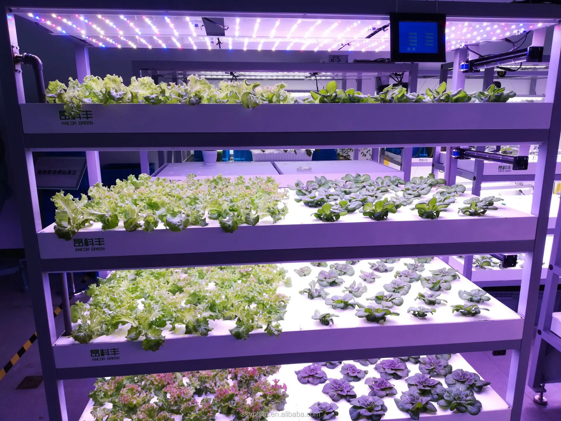 Skyplant 40HQ Freezer Shipping Container Farm Hydroponic Fodder Growing ...
