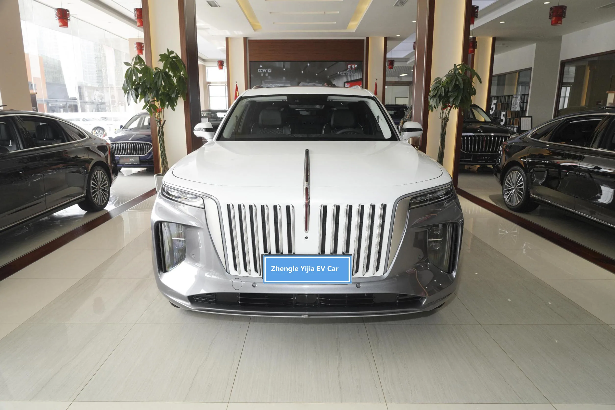 2022红旗e-hs9 4-7座高速新能源电动汽车ehs9 Stork中最长距离电动汽车 - Buy 新能源电动汽车,Ehs9,最长的范围 ...