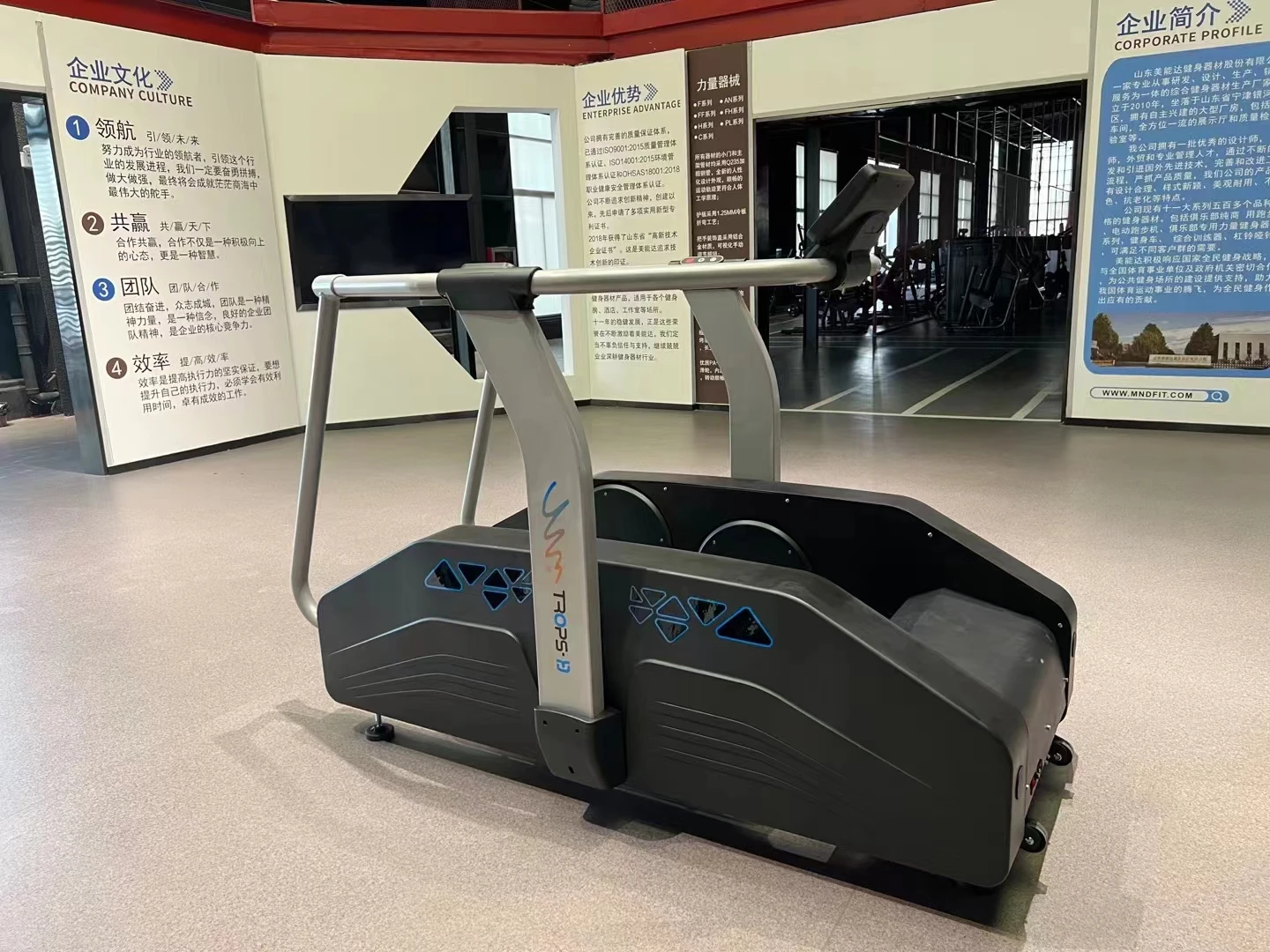 Indoor Surf Machine - Improve Body Balance with This Low Impact ...