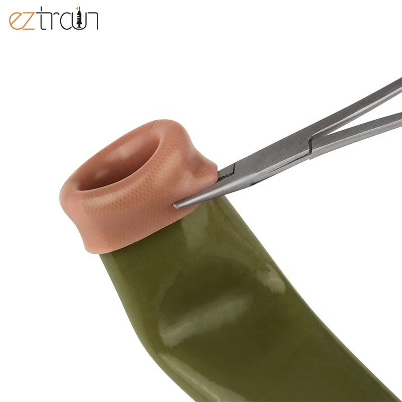 EZTRAIN Intestinal Suture Model - Perfect for Medical Training