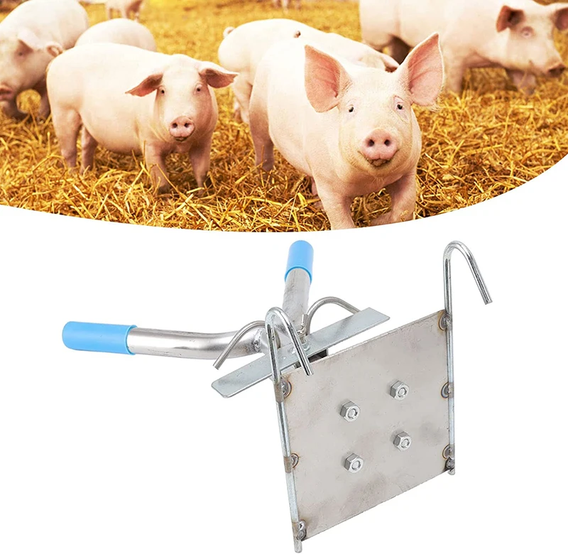 Stainless Steel Pig Castration Piglet Castration Table Piglet ...