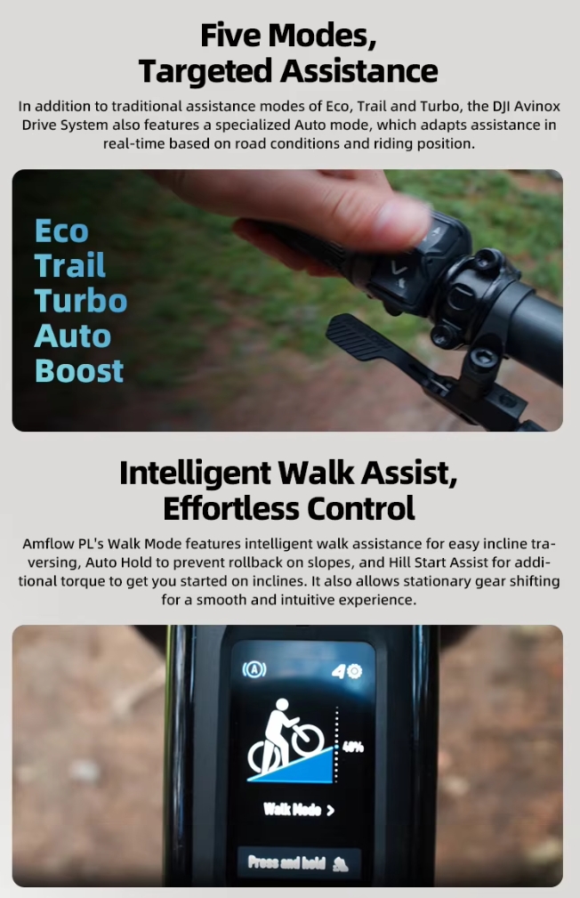 Amflow PL Carbon 800Wh Carbon Fiber Electric Mountain Bike for Outdoor ...