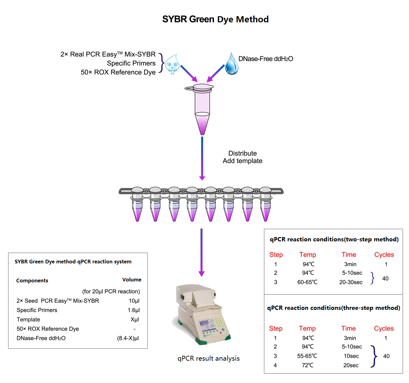 Molecular Biology Real Time Pcr Kit Real Time PCR Easy-SYBR Green I Kit ...