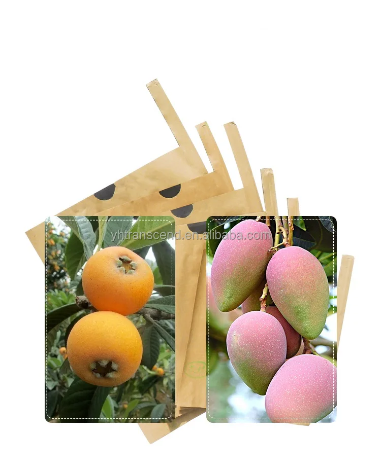 Custom Fruit Grow Bagging Protective Paper Packaging Guava Dragon ...