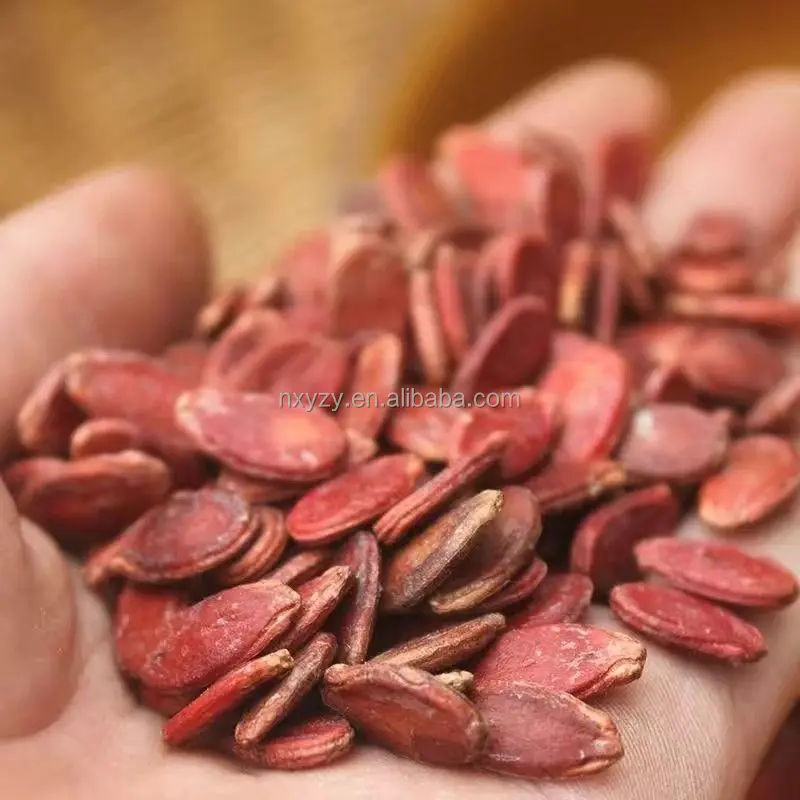 Hot Selling Inner Mongolian Red Color Watermelon Seeds Melon Seeds ...