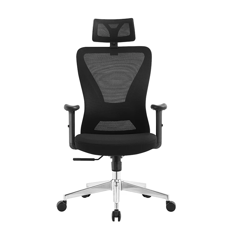 High Back Ergonomic Mesh Office Chair with 2D Lumbar Support and Nylon ...