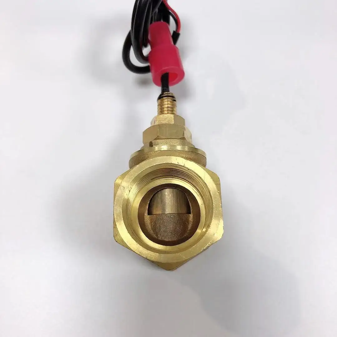 Brass Magnetic Water Flow Switch - 220v Circulation Pump
