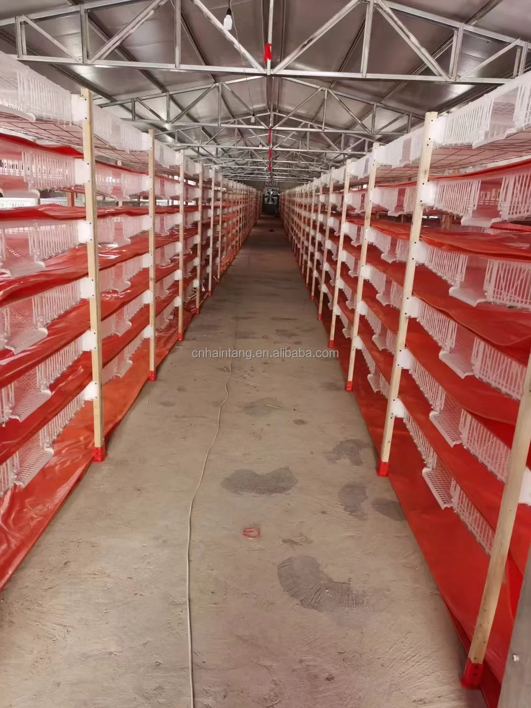 PVC Quail Cages - Automatic & Manual Options for Farms