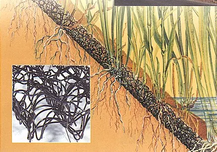 Enkamat 7020 For Wet River Slope Protection - Buy Geomat,Enkamat,7020 ...