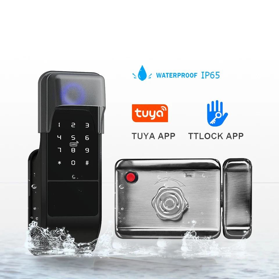 Smart Ttlock Gate Door Lock Tuya Wifi App Rim Fingerprint Smart Lock ...