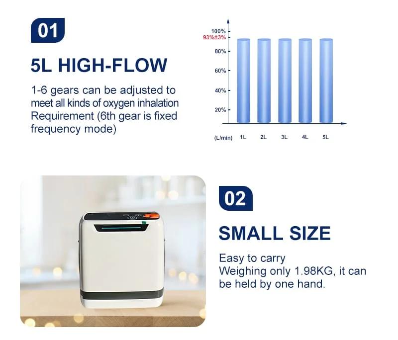 Low Cost Concentrador De Oxigeno 3l 5l 5 Liters Oxigen Machine Oxygen ...