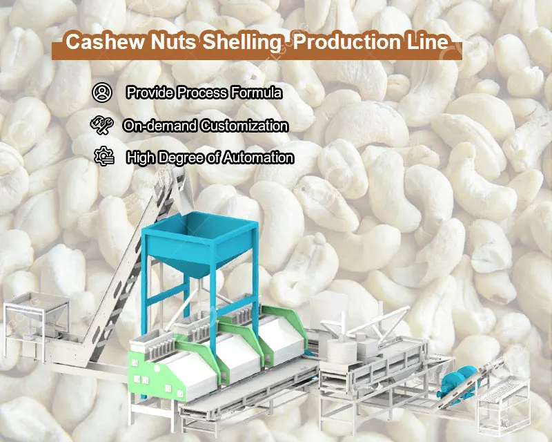 Cashew Nut Processing Machine - Efficient & Reliable