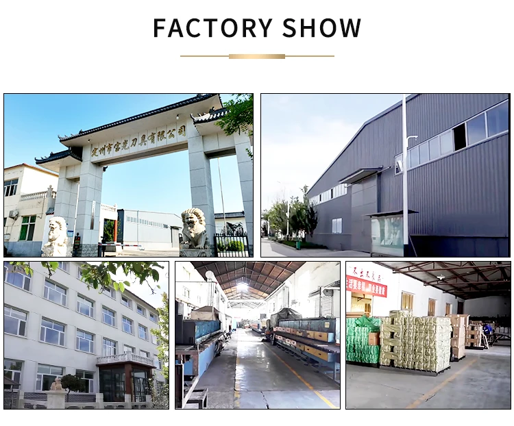 Long Steel Handle Leaf and Branch Collector Rake Plastic 30 Teeth Leaf ...