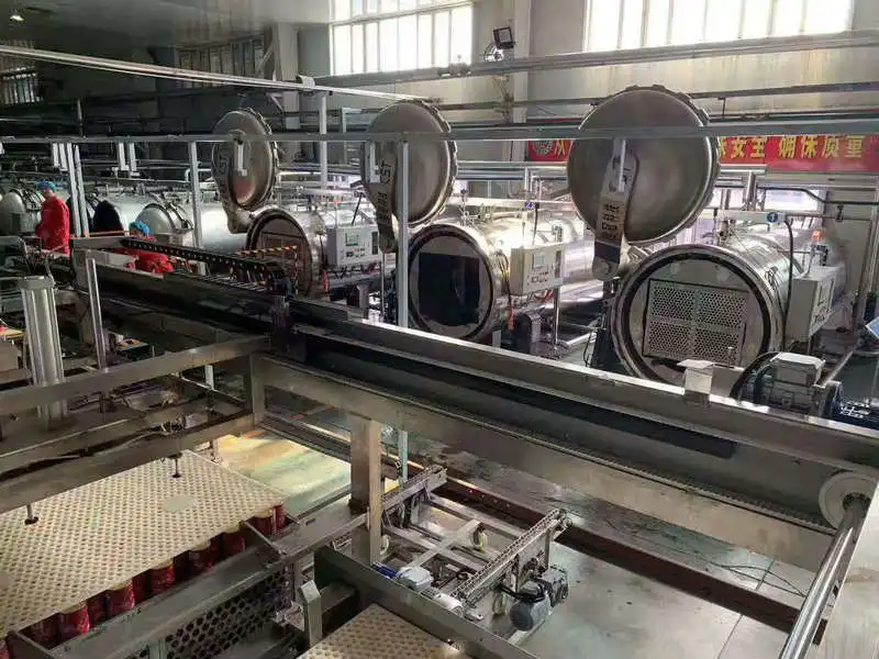 Cst Automatic Loading And Unloading System For Sheets For The Sterilization Retort - Buy ...