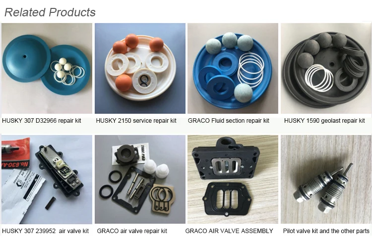 HUSKY 515 Plastic Air Operated Diaphragm Pump - D52911, D52966, D5B977