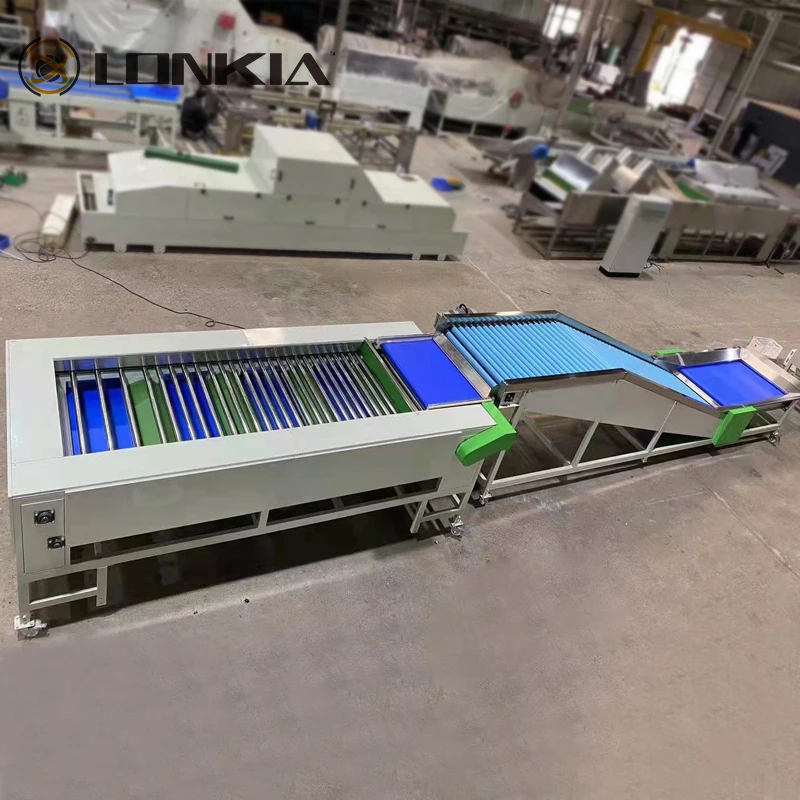 LONKIA Automatic Carrot Grading Size and Cleaning Machine