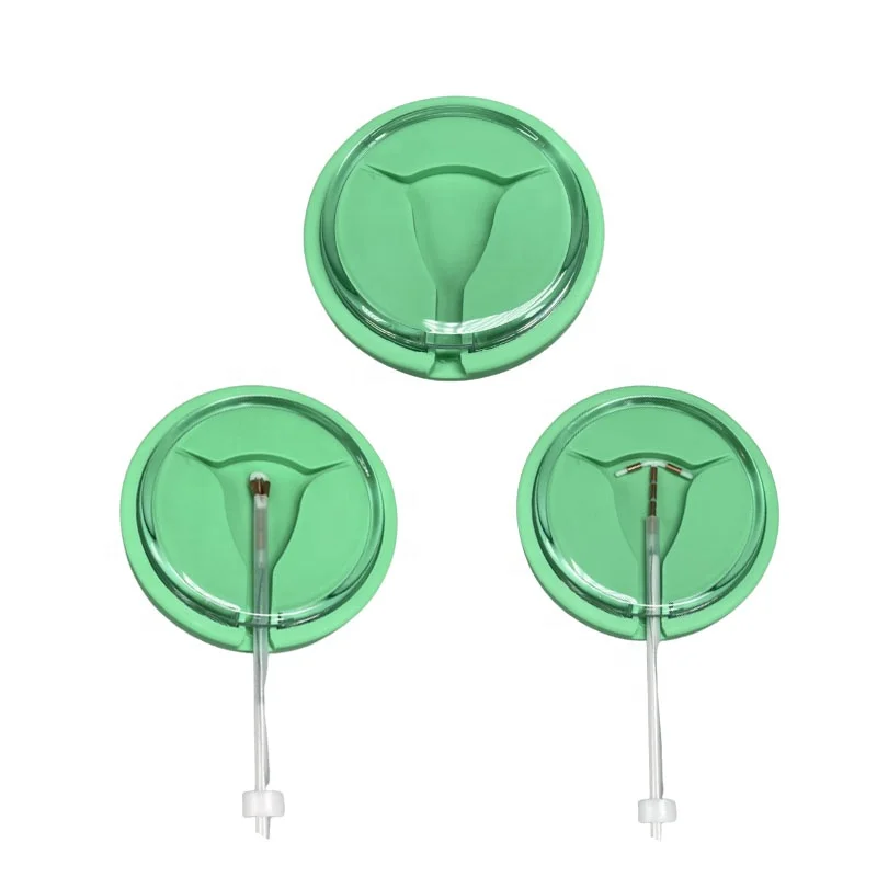 Promotional Female Iud Model For Iud Device Promotion And Training ...