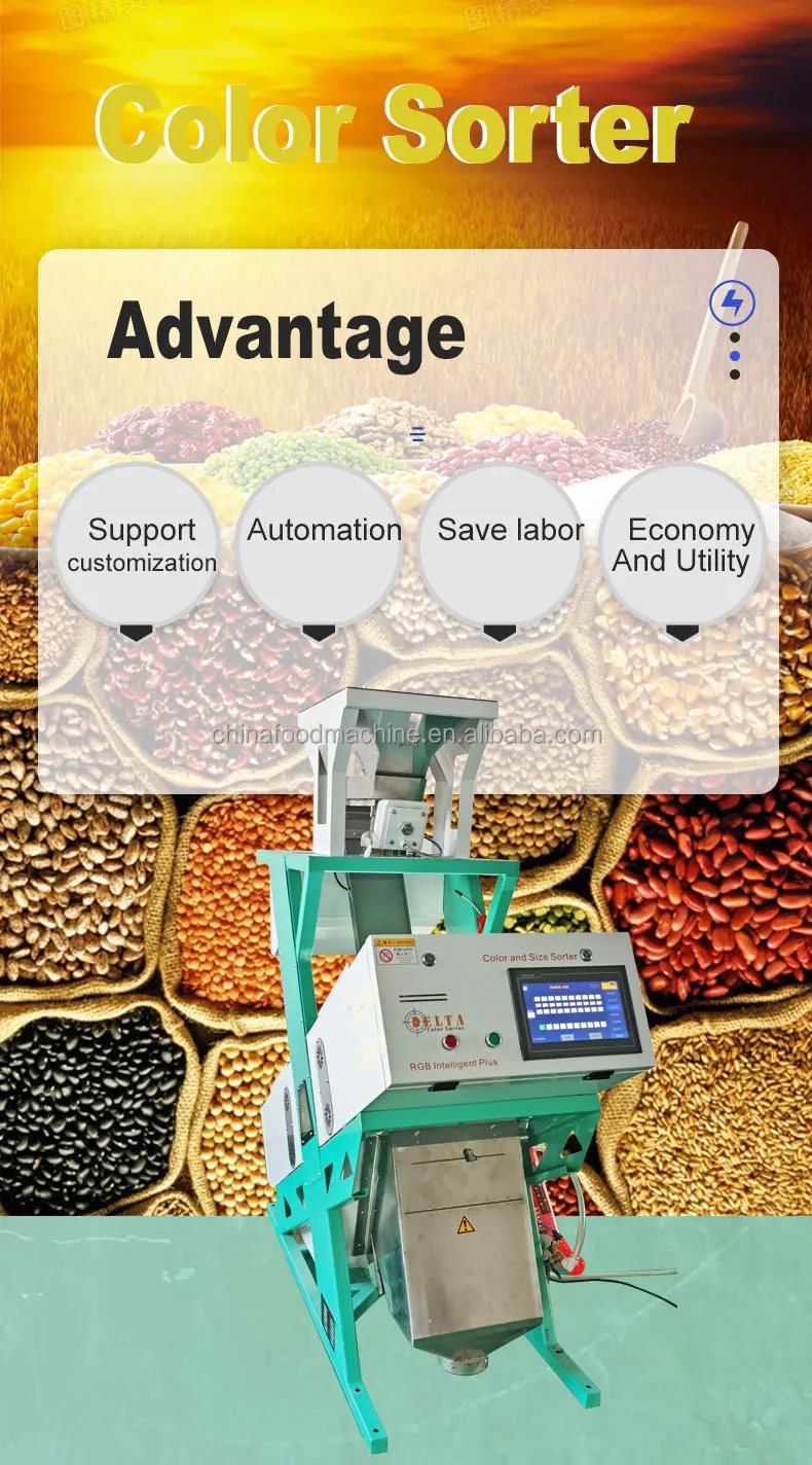 Meyer Color Sorter 6SXM-126CCD - Efficient & Reliable