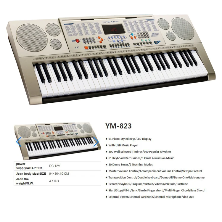 Professional OEM Electronic Organ Piano Keyboard with 61 Keys