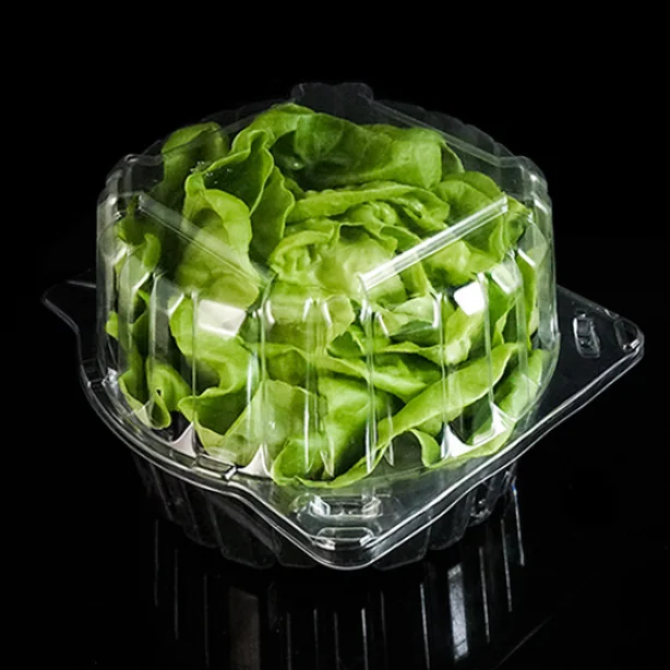 Custom Clear Plastic Clamshell Blister Lettuce Packaging Container, Fresh Living Lettuce Plastic ...