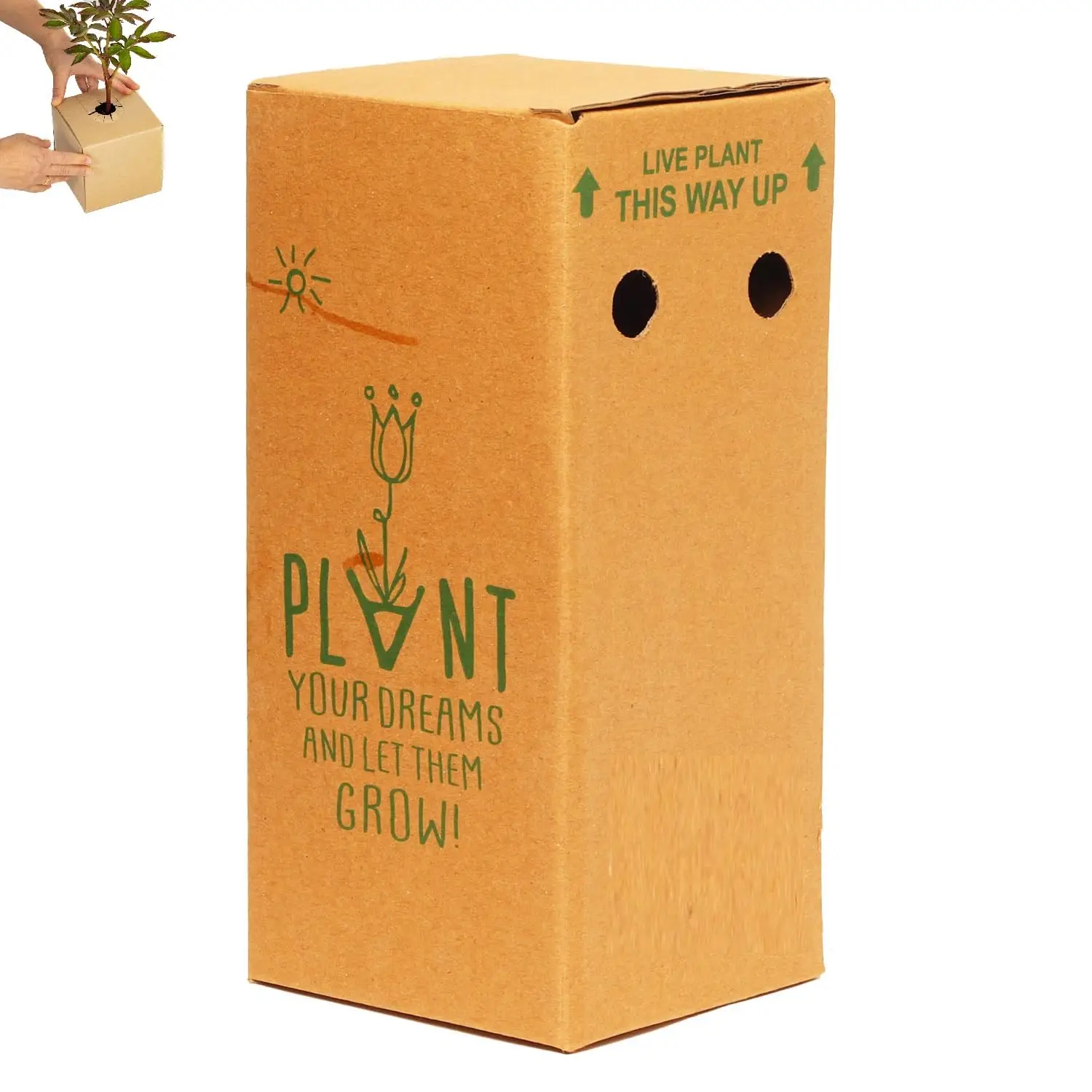Free sample custom printed corrugated cardboard live plant shipping ...