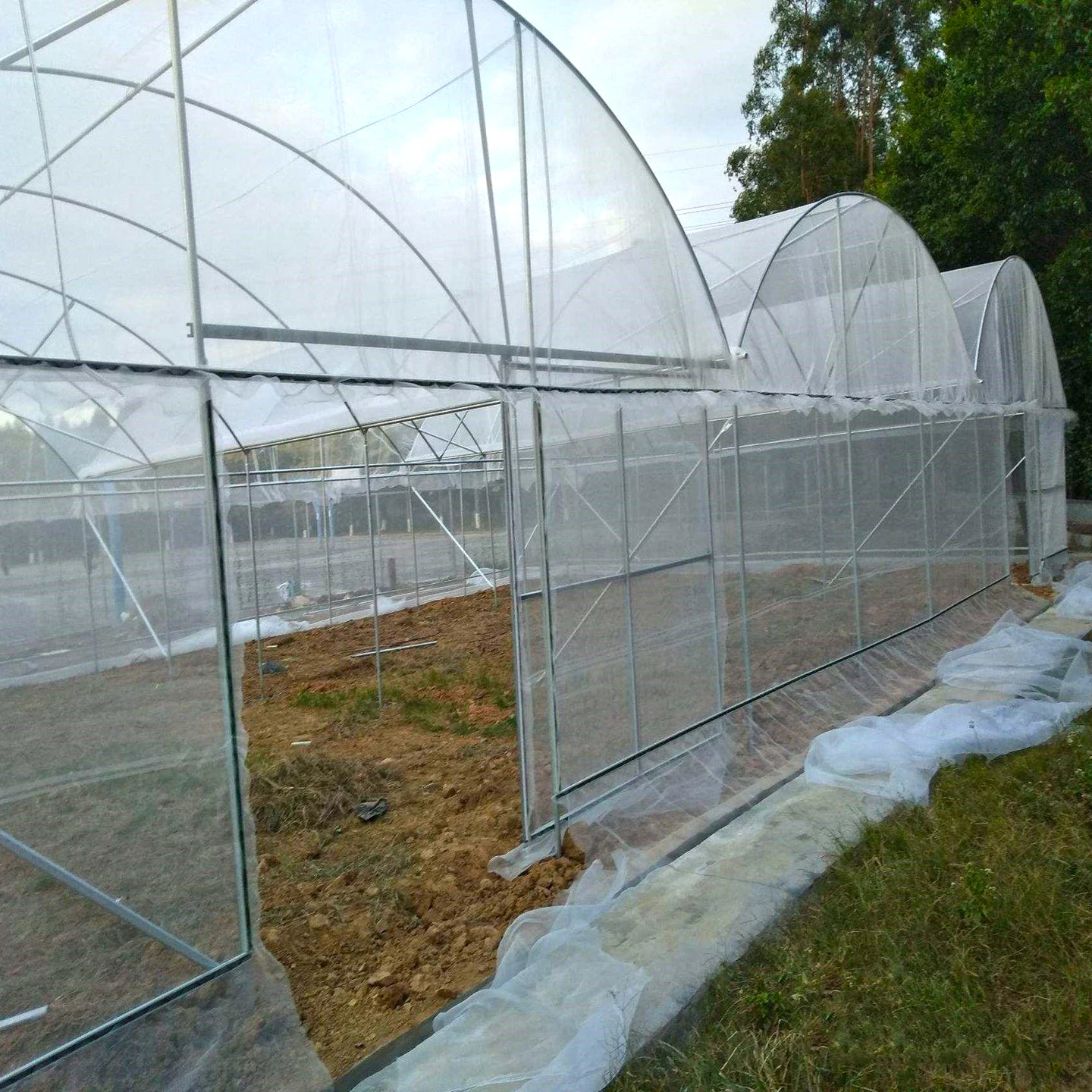 Greenhouse With Insect Proof Net For Blueberry - Buy Insect Proof Net ...
