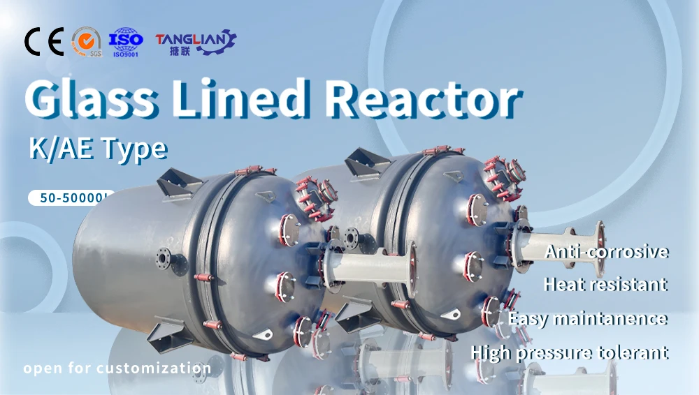 Glass Lined Equipment Factory-Non standard customization glass lined ...