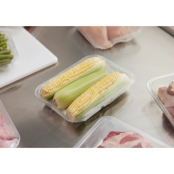 Custom PET Disposable Plastic Meat Food Preservation Tray PP Tray for ...