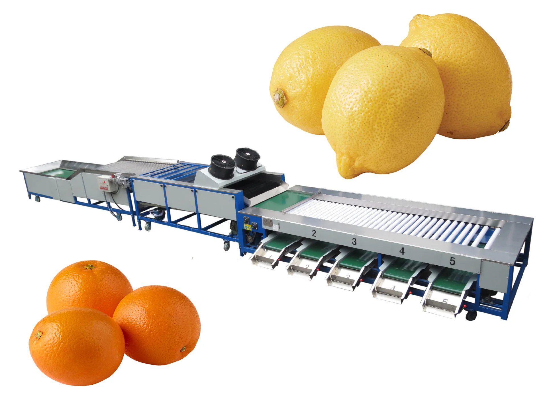 Industrial Lemon Mandarin Orange Citrus Washing Waxing Cleaning Grading Machine - Buy Lemon ...