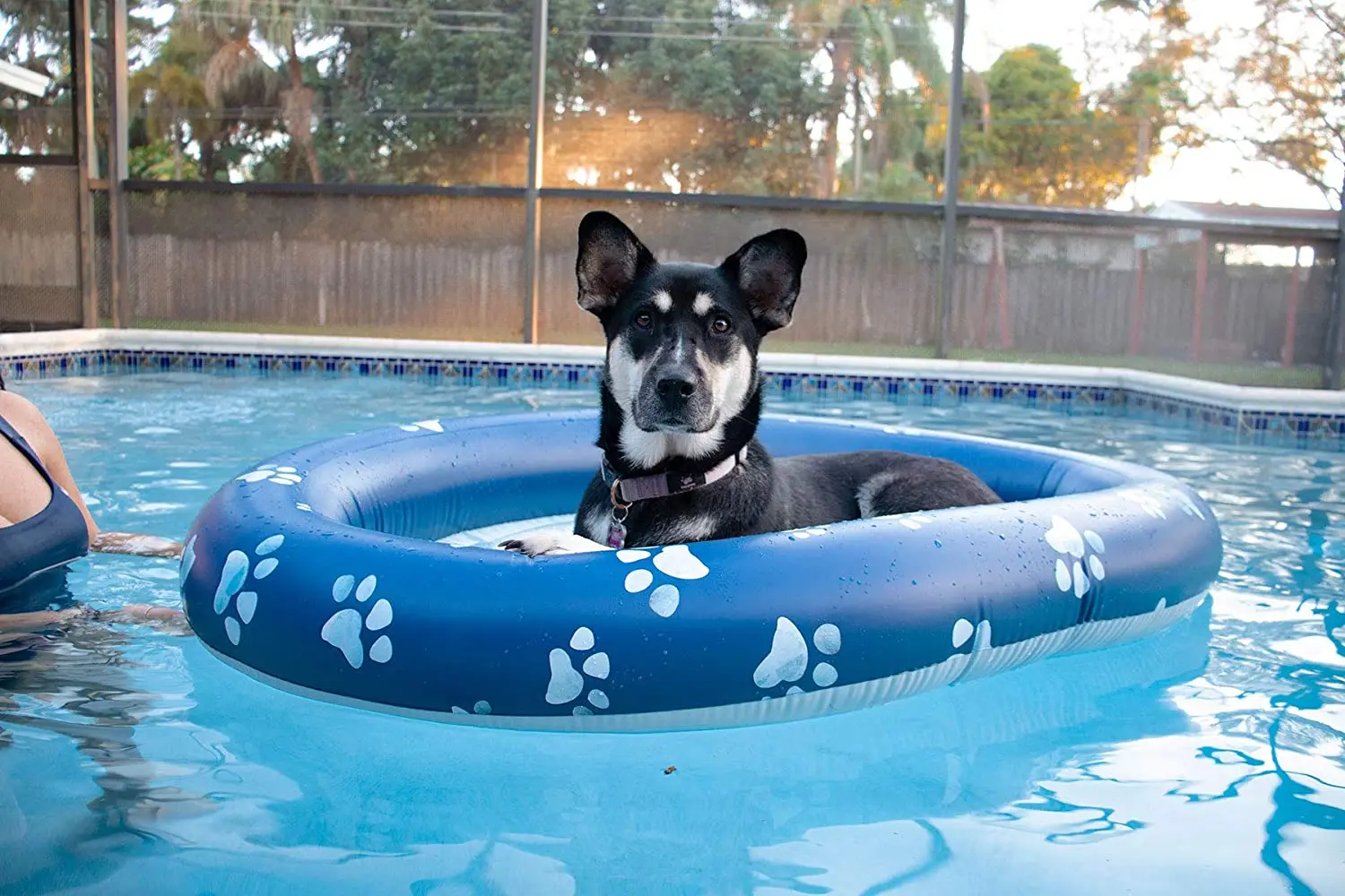 Portable Inflatable Dog Pool Float - Perfect for Pets
