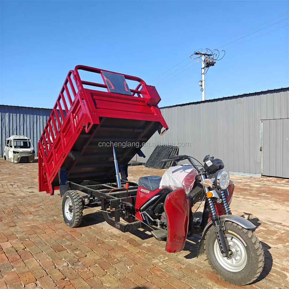 Automatic Self-Unloading Big Cargo Tricycle Open Body 200cc Single ...