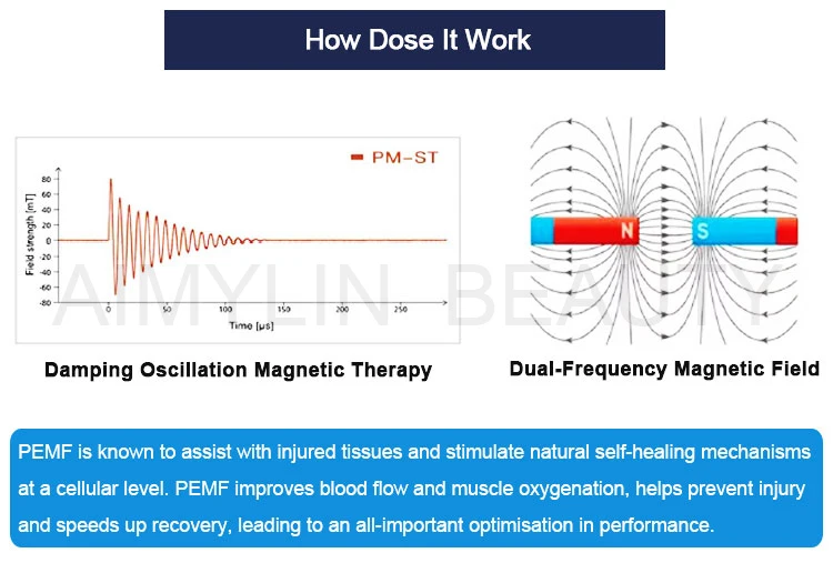 Trend 2024 Pmst for Horses Pemf Pmst Loop Physiotherapy Back Pain Pemf ...