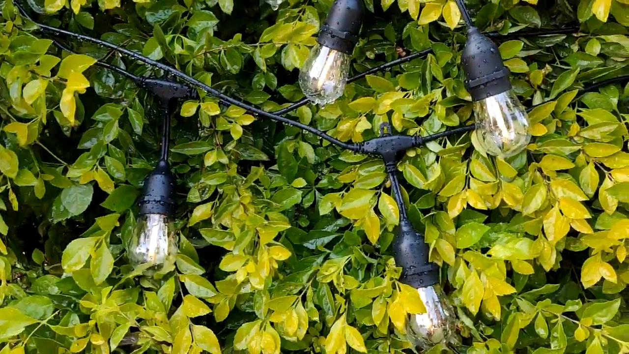 S14 15bulb 48ft Led String Light For Fence Led Christmas Star String ...