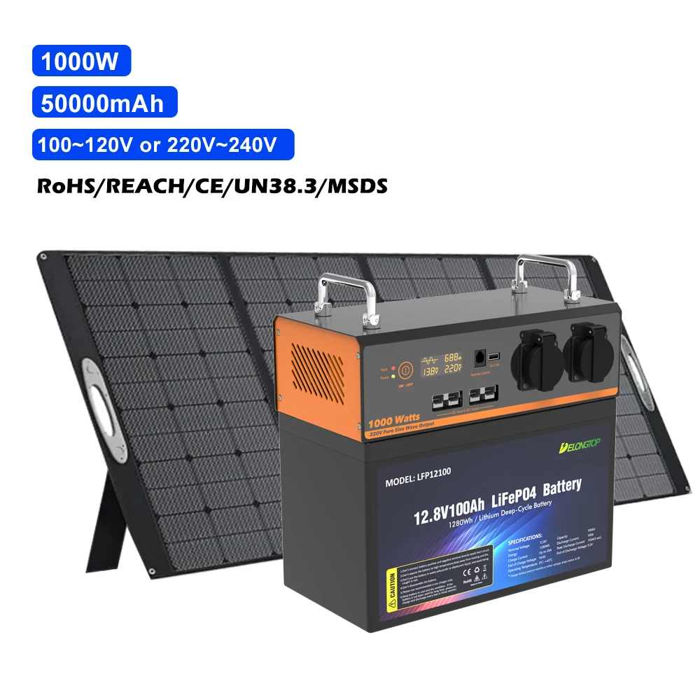 BYD 12V Lifepo4 Batteries with 1000W Inverter - Smart BMS