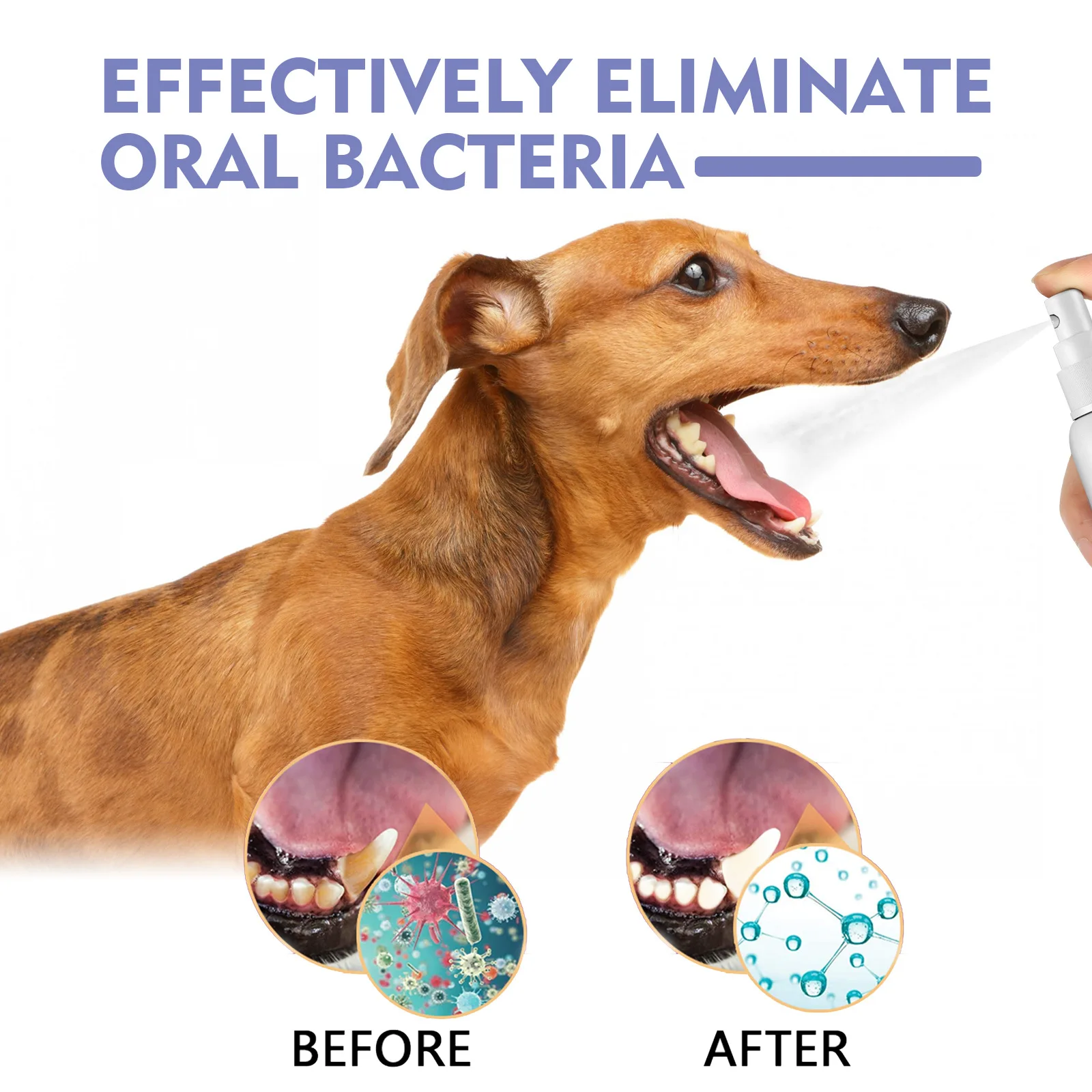 Wholesale Yegbong Natural Safe Oral Spray For Cats And Dogs Odor ...