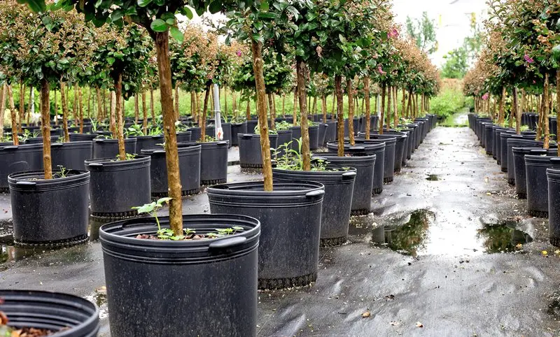 Yuncheng 25 Gallon Pot 105 Quart 100 Liter 22" Inch 57cm Blow Mold ...