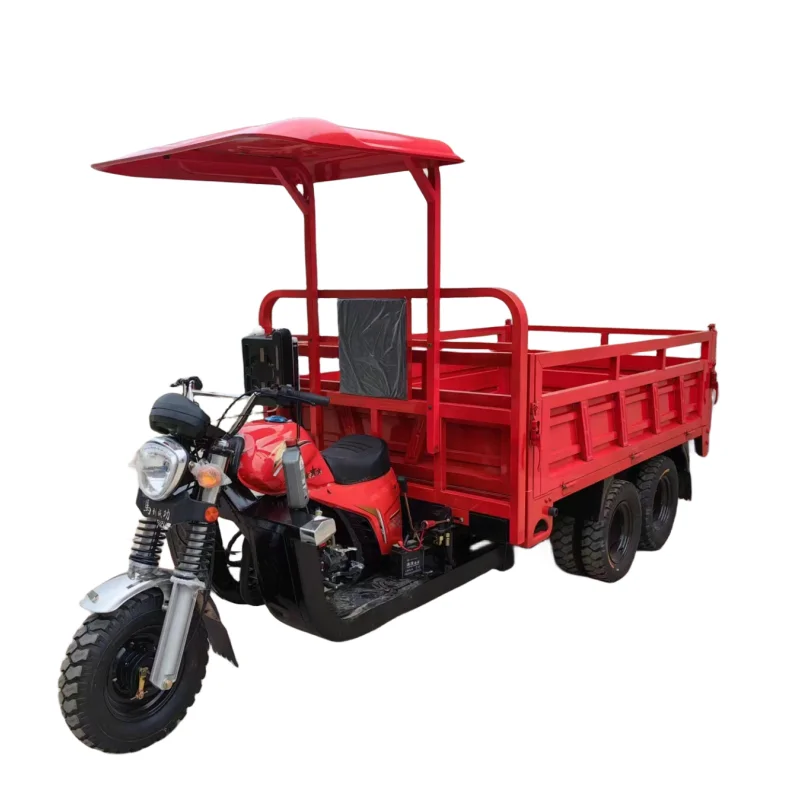 Gasoline Tricycle with 300cc/350cc Engine - Strong & Customizable