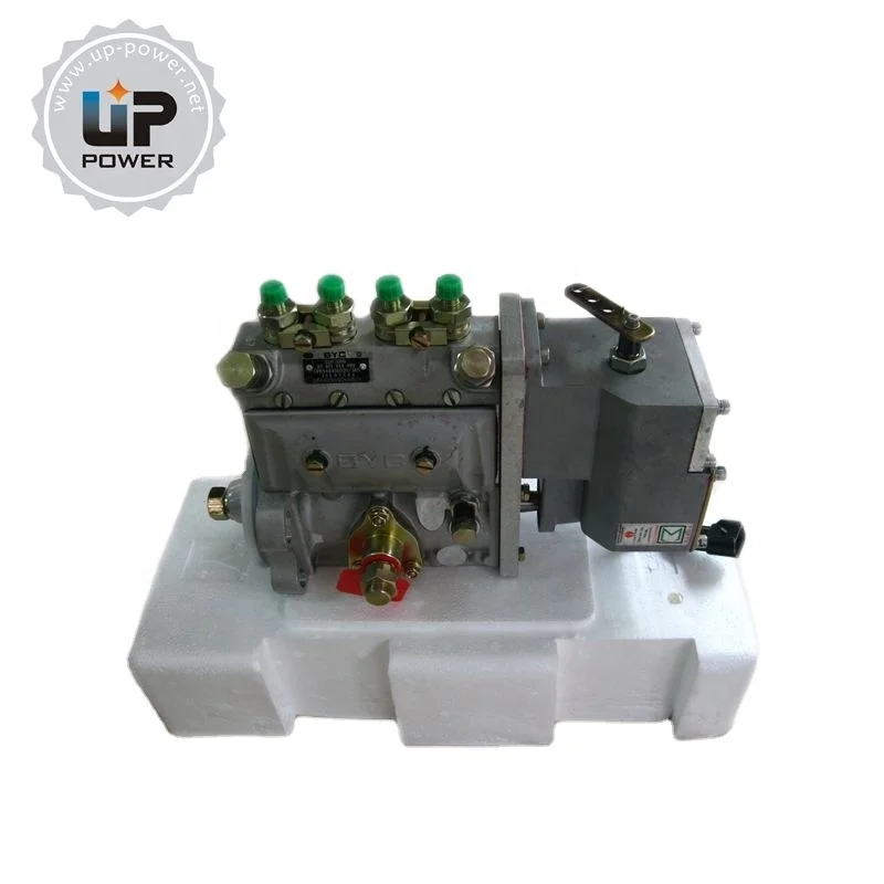 Fuel Injection Pump 5262669 For Cummins 4bta3.9-g2 - Buy Cummins Fuel ...